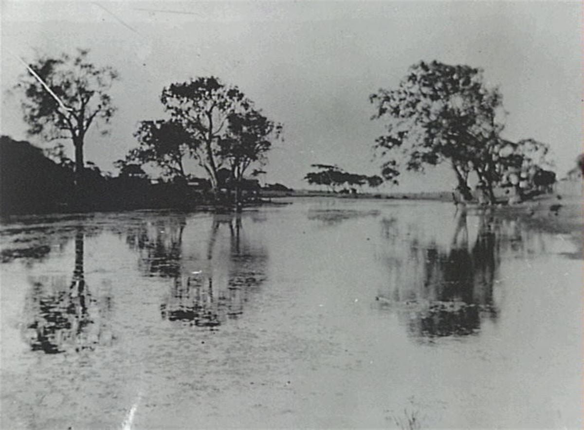 2019 Australian Heritage Festival - Moreton Bay Thrive